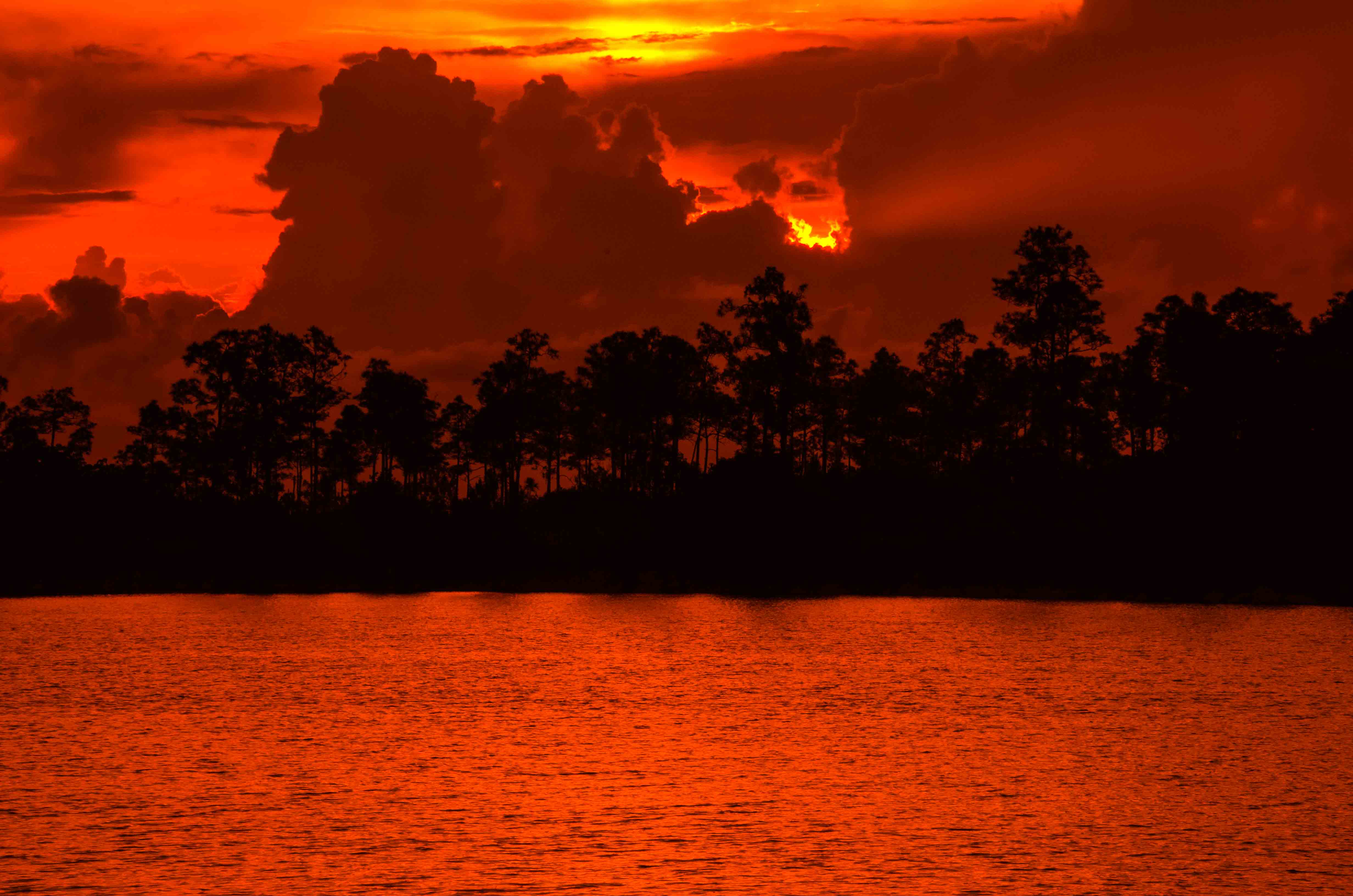 Sunset In the Everglades | Shutterbug